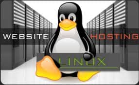 Linux Web Hosting, Cpanel Hosting | Hosting Dünyam